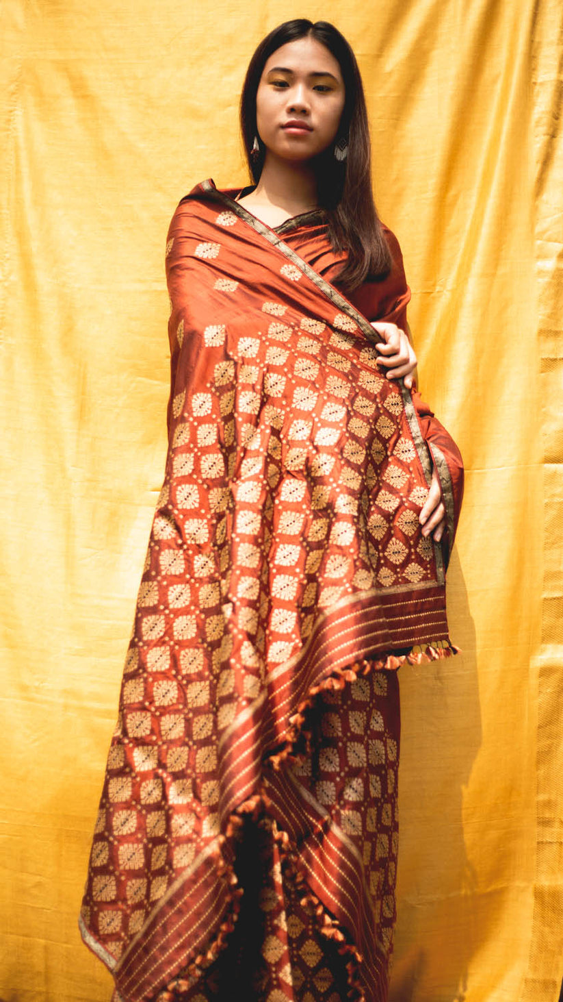 Bhoomija Earthy Red Paat Silk Mekhela Sador With Muga Motifs – Sereki.in